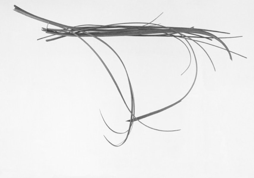 Ausstellung A Space full of Drawings ... - Daniel Marzona | ART at Berlin